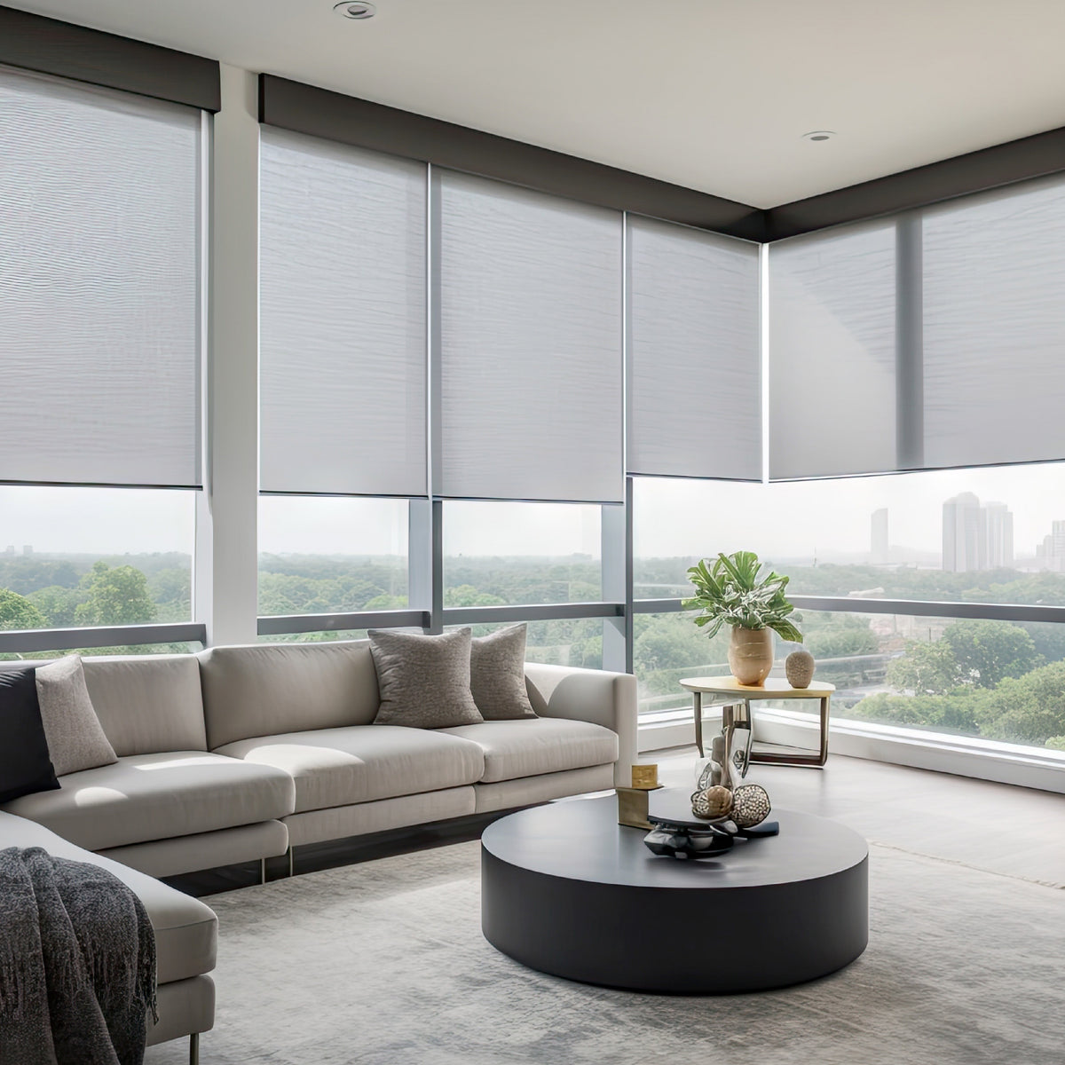 Smart Motorized Roller Shades - Blackout Roller Shade – BEASEN