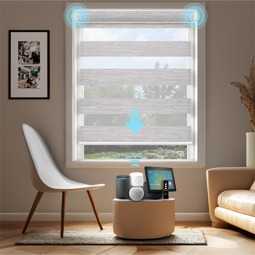 Zebra Shades - Smart Motorized Dual Effects – BEASEN