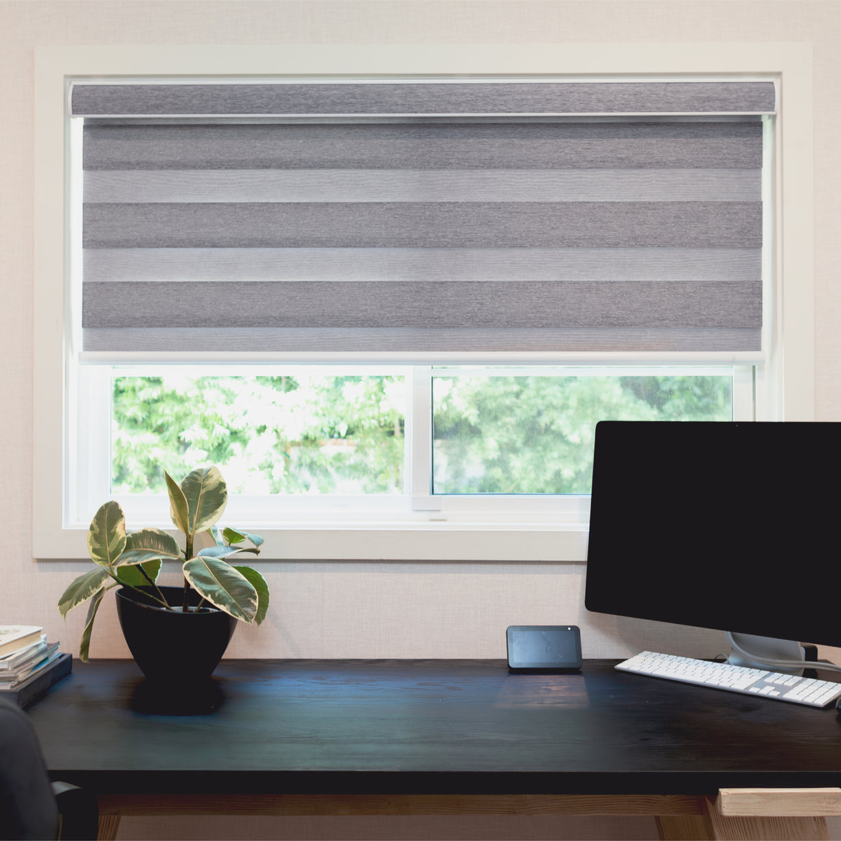 Beasen - Embrace Smart Technology - Smart Future – BEASEN